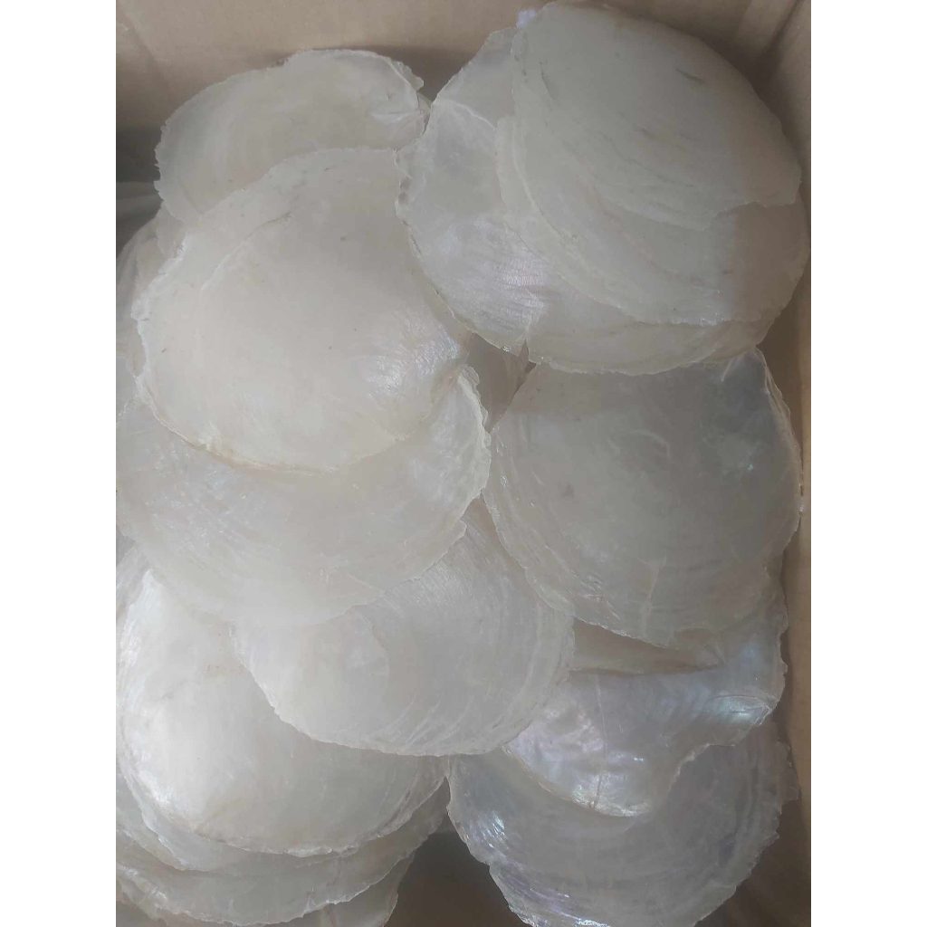 Natural capiz shell lukob at flat | Shopee Philippines