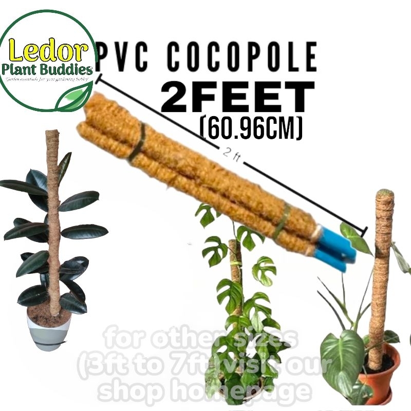2 FT Coco Pole for Plants | Plant Support for Trailing Plants LEDOR ...