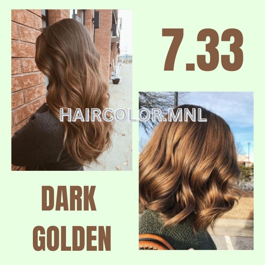 BREMOD 7.33 DARK GOLDEN HAIR COLOR SET WITH OXIDIZER (100ML) | Shopee ...