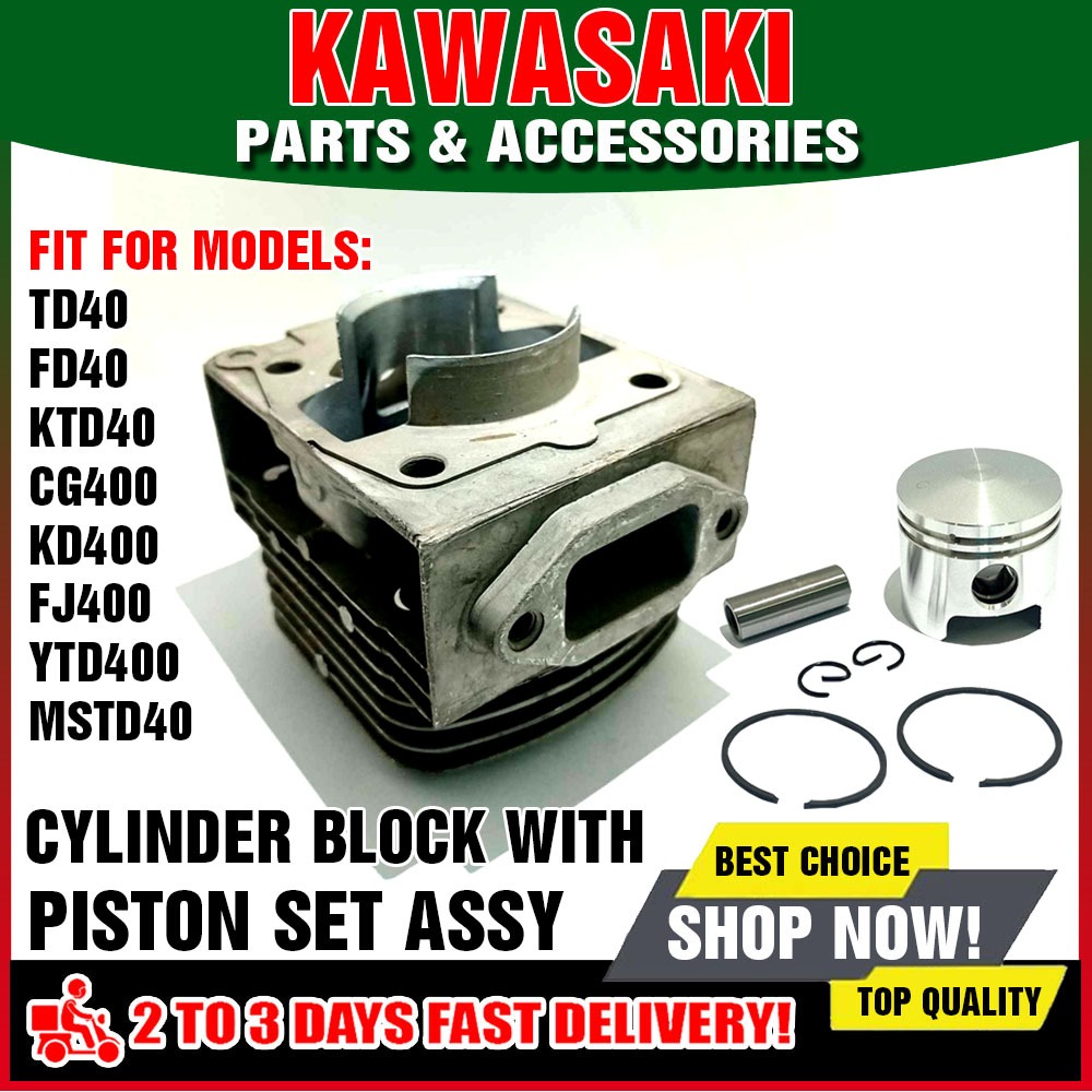 Cylinder Head/Block Assembly w/ Piston Set and Ring for TD40 FD40 ...