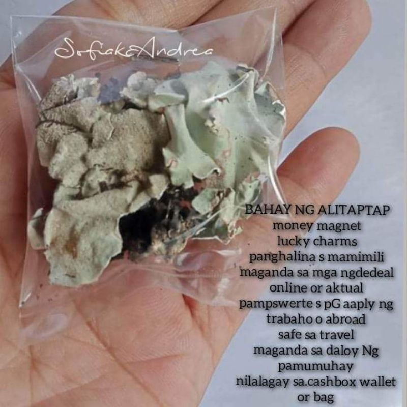ba hay Ng alitaptap 1 pack | Shopee Philippines