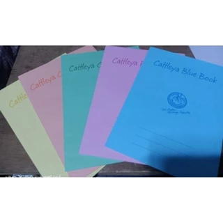 cattleya - Best Prices and Online Promos - Apr 2024 | Shopee Philippines