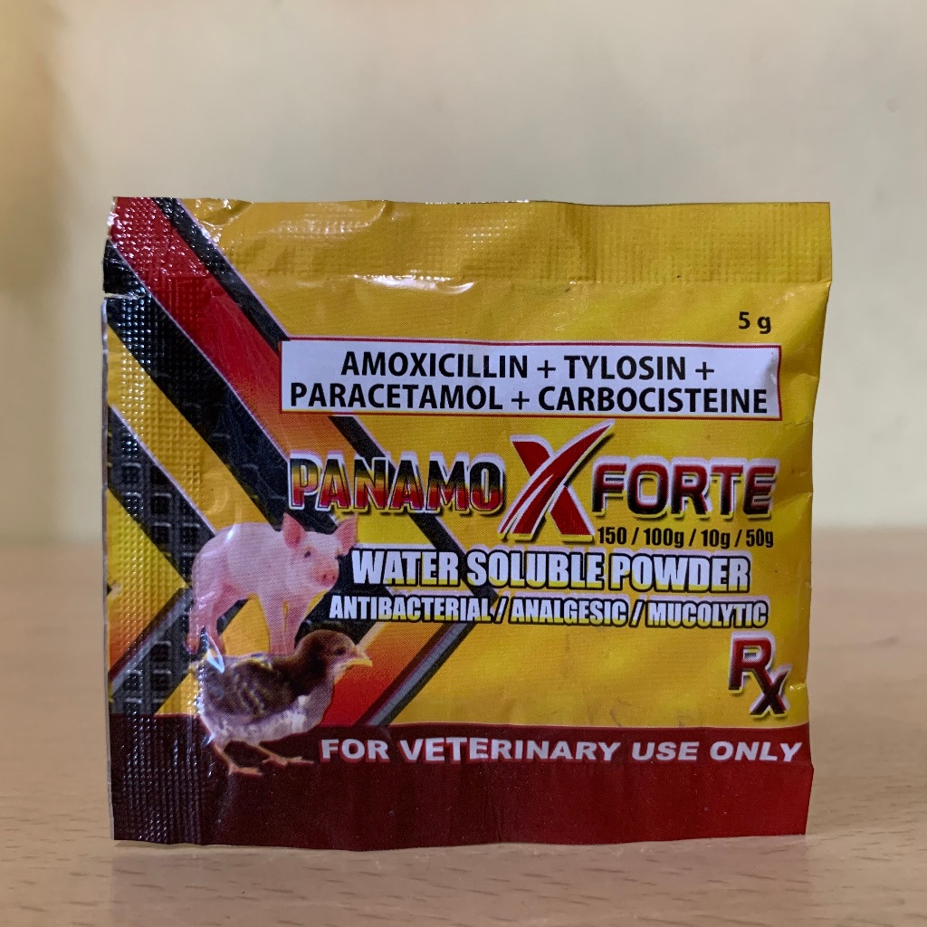PANAMOX FORTE POWDER 5g (1 sachet) Antibacterial/Analgesic/Mucolytic ...