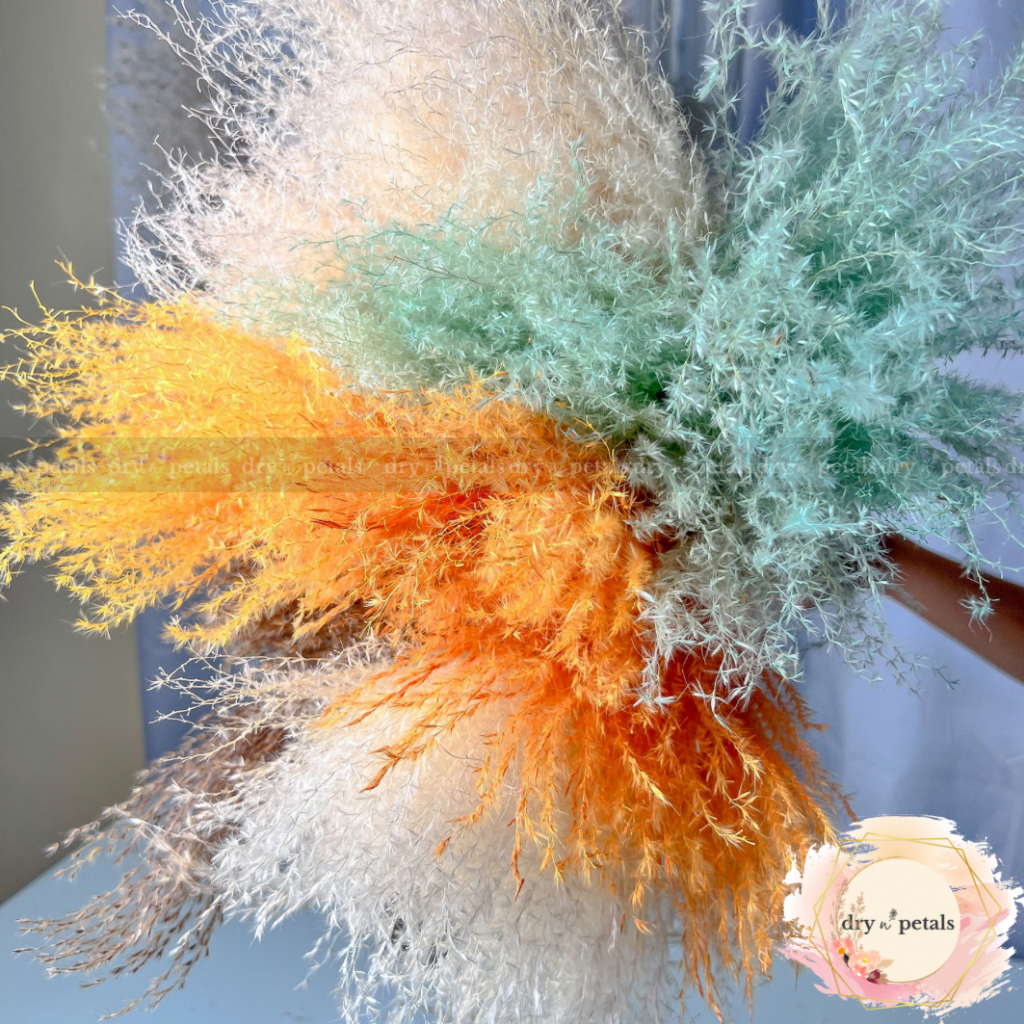 Bleached Fluffy Whisk Pampas (1 stem) Natural Dried Flower Boho Theme ...