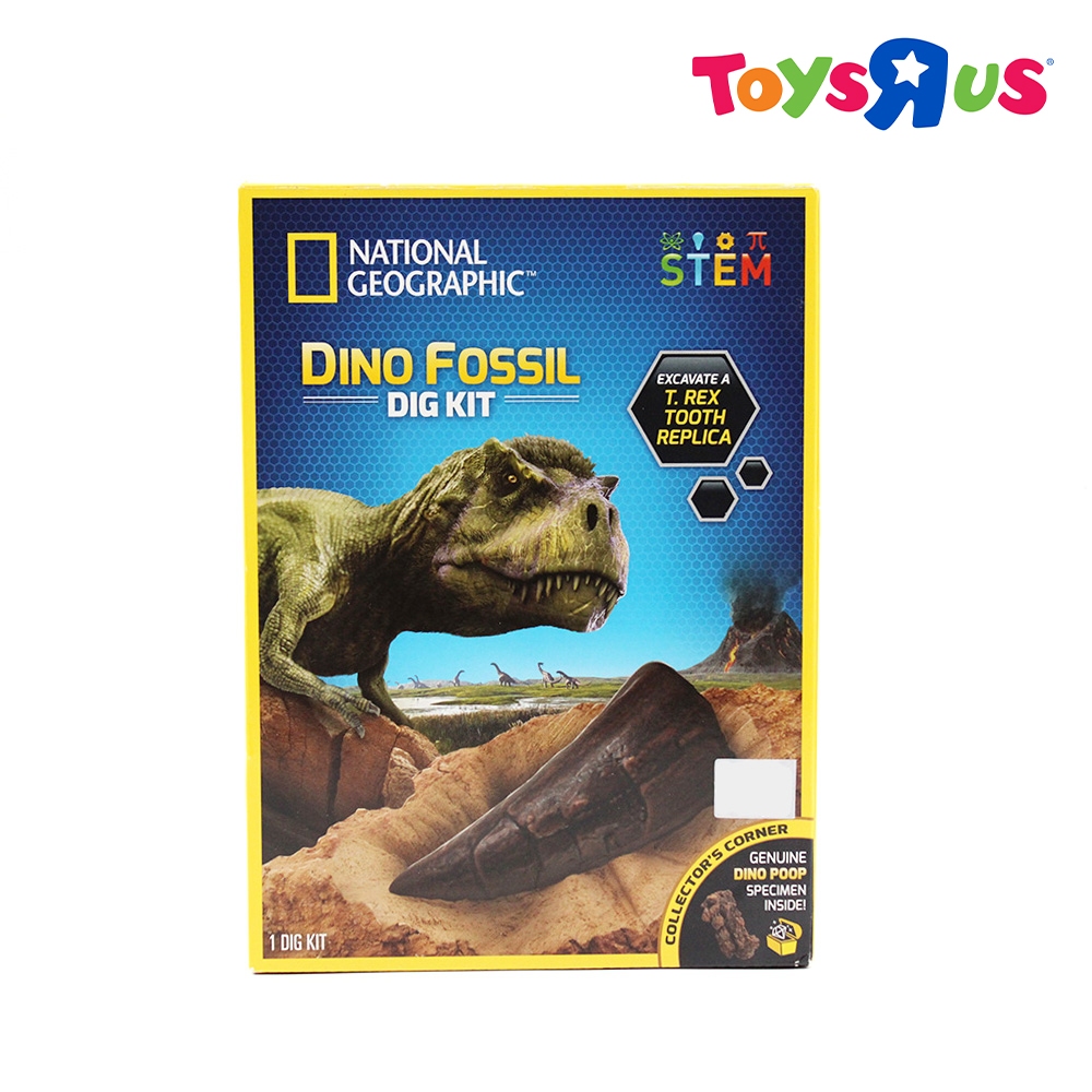 National Geographic - Dino Fossil Dig kit | Shopee Philippines