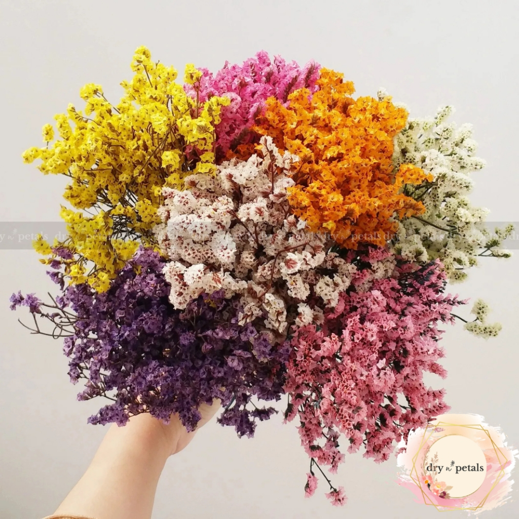 Preserved Dried Caspia Flower (15 grams) Natural Flower DIY Resin ...