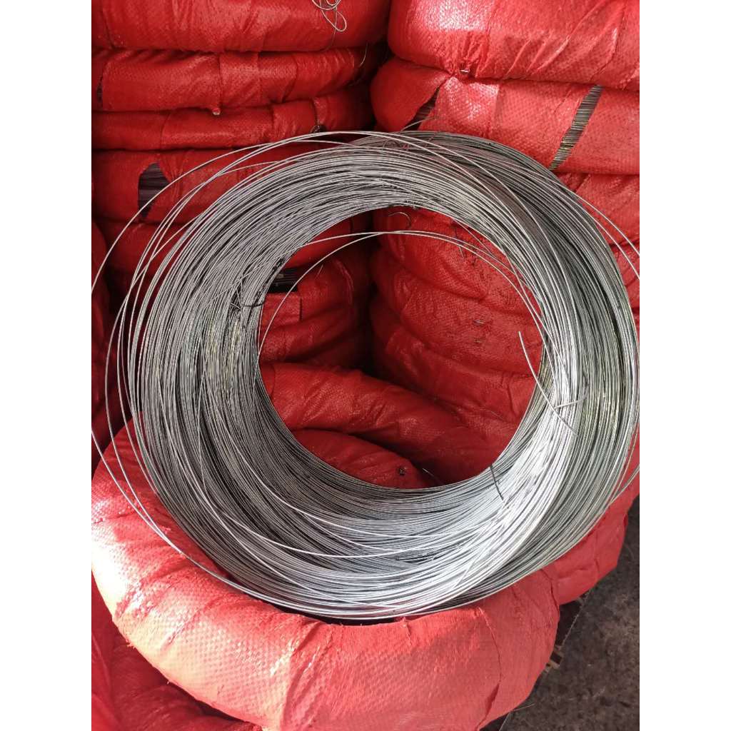 GI TIE WIRE #16 (22KLS) GALVANIZE | Shopee Philippines
