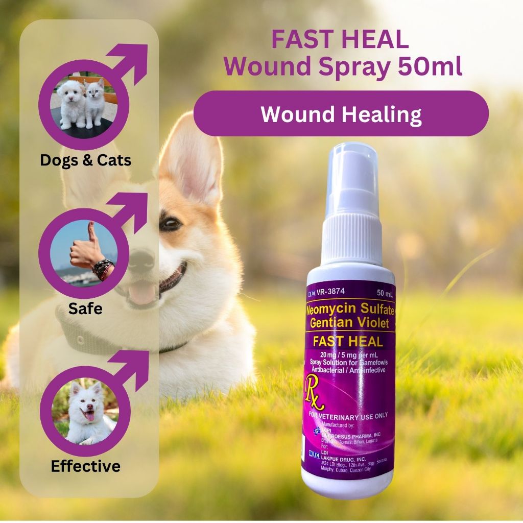 FAST HEAL Wound Spray 50ml | Shopee Philippines