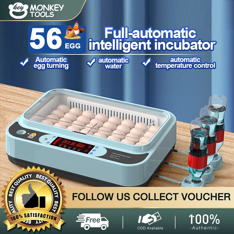 Incubator can incubate boxes small home incubator pigeon eggs chickens ...