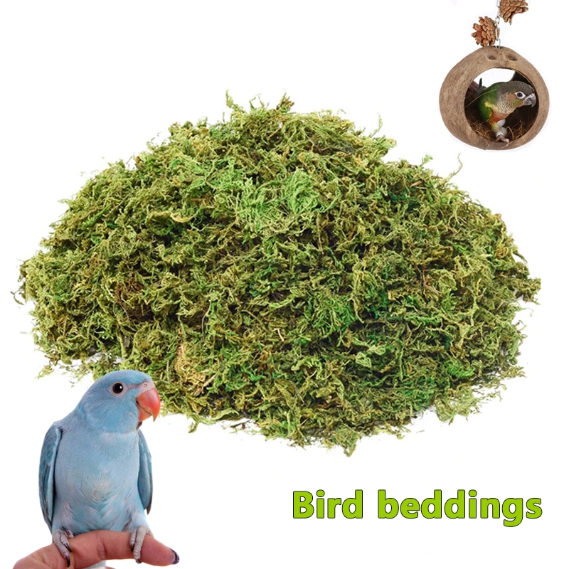 Bird Parrot Nesting Materials Dried Moss Bird House Decorative Moss for ...