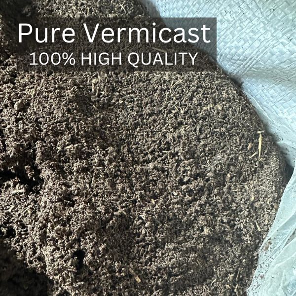 1 Kilo Pure Vermicast | High Quality | Shopee Philippines