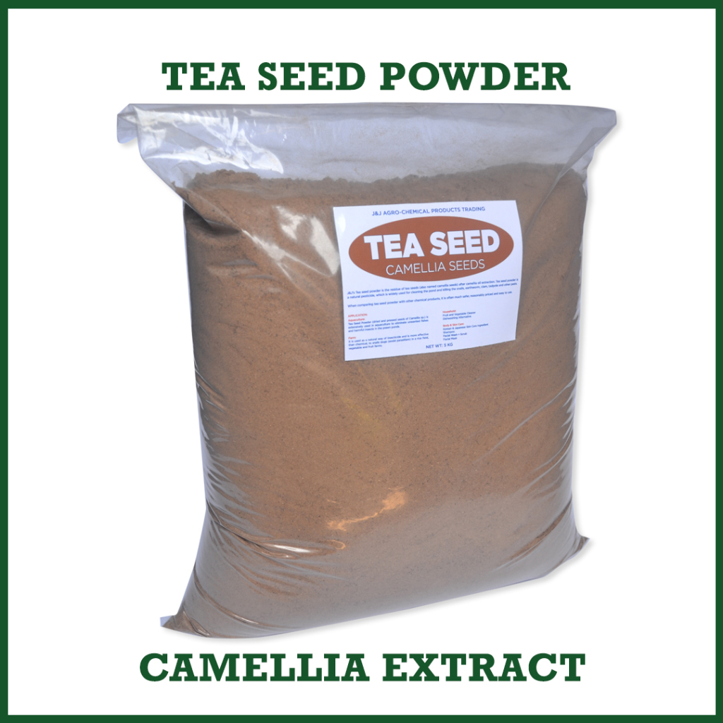 Tea Seed Powder 5 kg. Pure Camellia Extract Tea seed Powder for ...