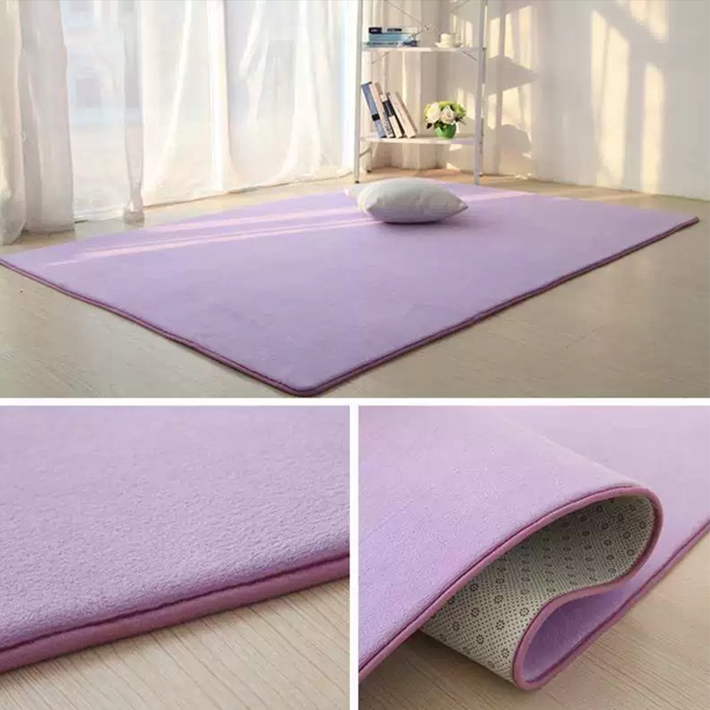Coral Velvet Carpet for Living Room Soft Carpet 10 colors Nordic Solid ...