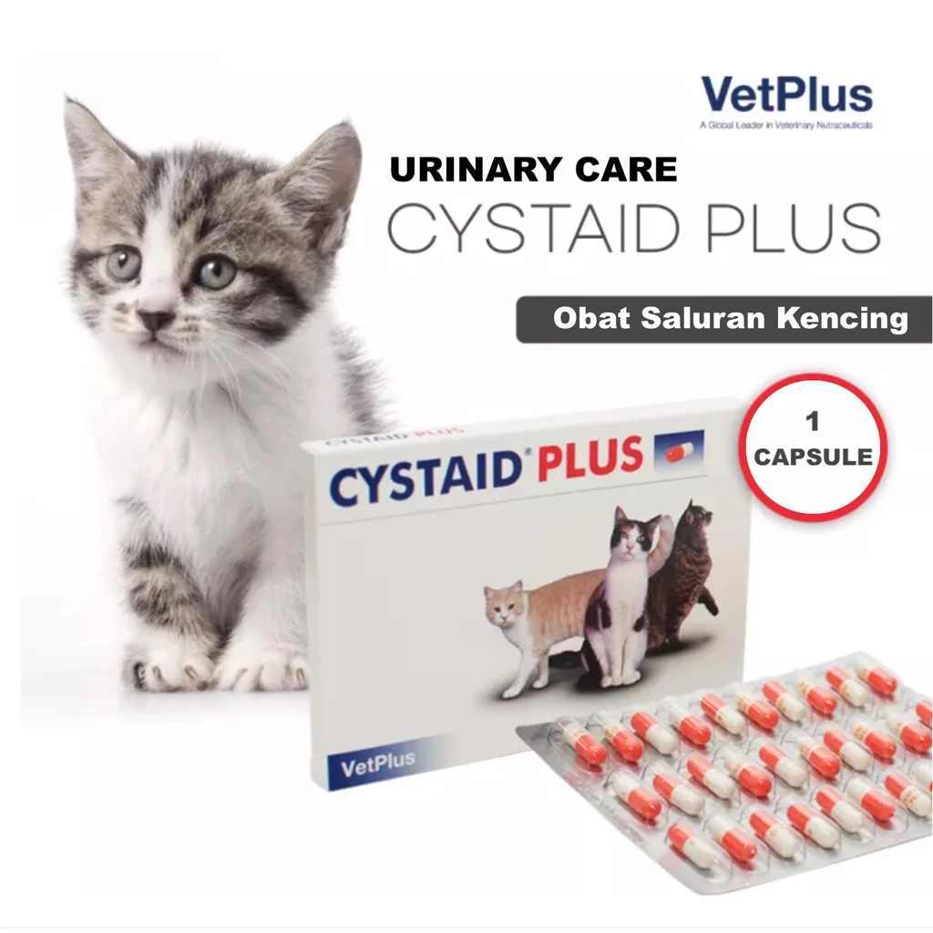 Cystaid Plus for Cats (sold per capsule) | Shopee Philippines
