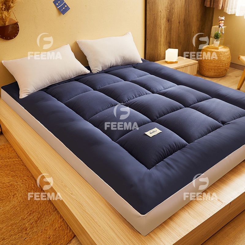 FEEMA 13cm Foam Mattress Thicker, Topper Foldable Queen Velvet Soft Bed ...