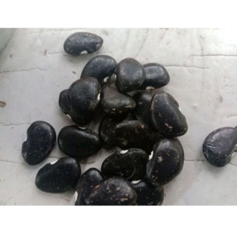 Black Seeds Patani/Seeds for Planting | Shopee Philippines