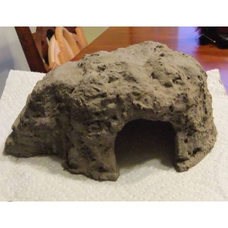 Tarantula Hide (Tarantula Sling, Read Description) | Shopee Philippines