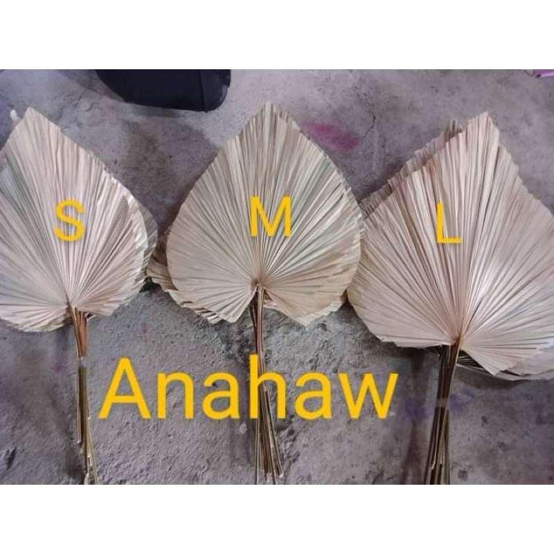 Anahaw | Native Dried Leaves | Shopee Philippines