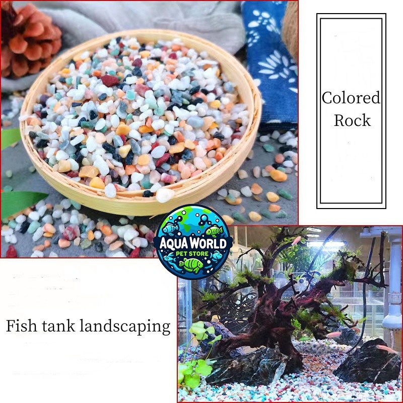 Aquarium Colorful Rocks Pebble White Pebbles Stones Natural stone ...
