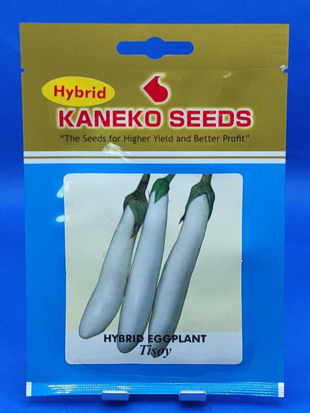 KANEKO TISOY F1 HYBRID EGGPLANT/TALONG SEEDS (1.5 GRAMS) | Shopee ...