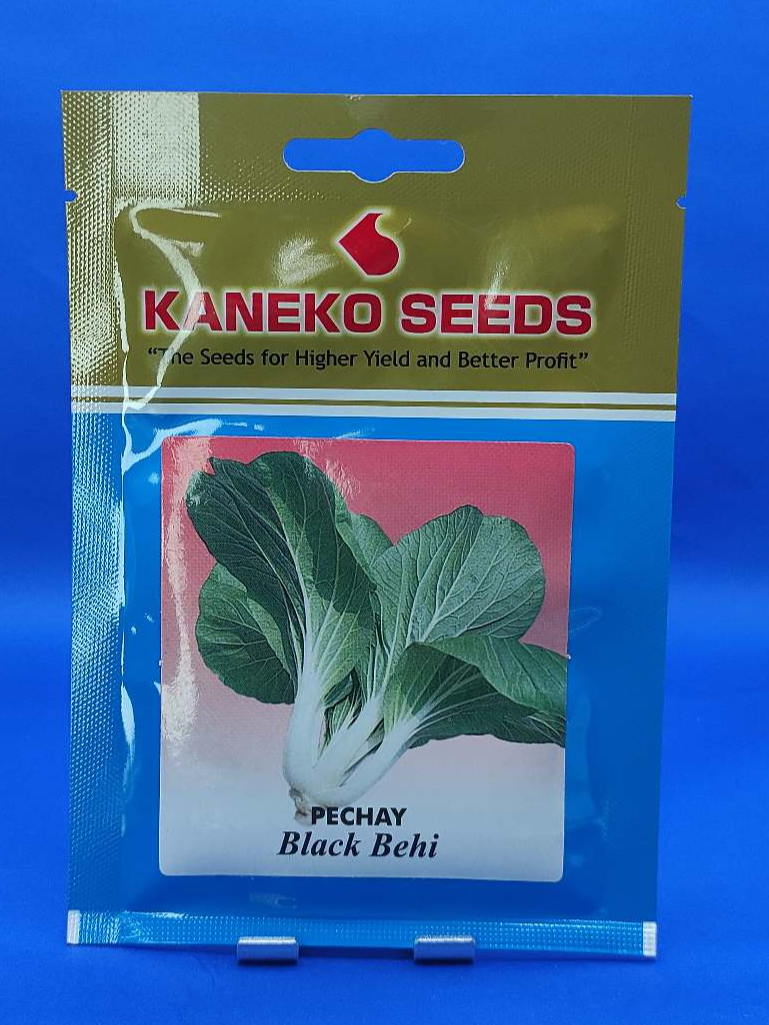 KANEKO SEEDS BLACK BEHI PECHAY SEEDS (10 GRAMS) | Shopee Philippines