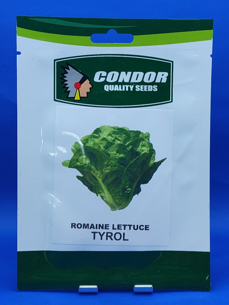 CONDOR TYROL MINI ROMAINE LETTUCE SEEDS LIKE XANADU (1 GRAM PACK ...