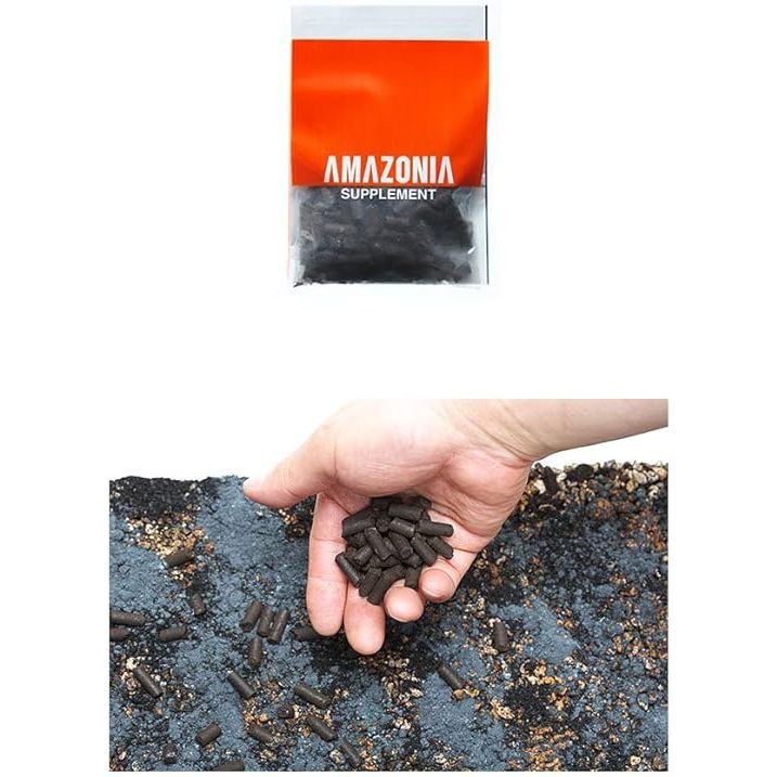 ADA Aqua Soil Amazonia Ver. 2 (sold in Kilo) | Premium Substrate for ...