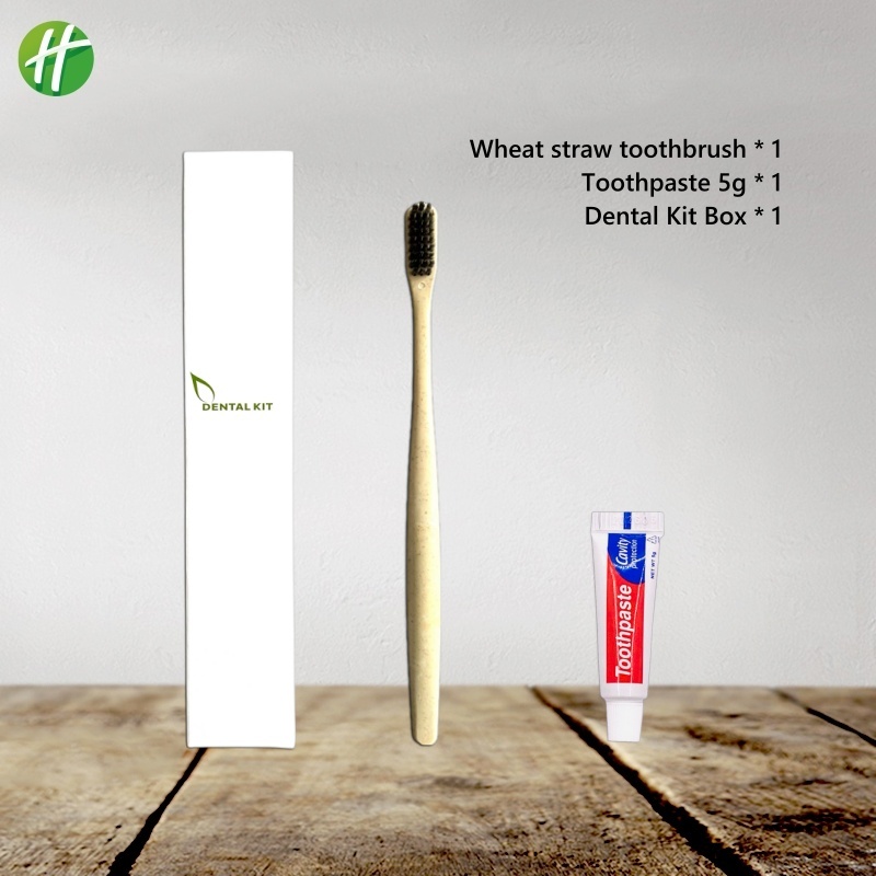 100set Dental kit Wheat stalk Toothbrush & 5g Toothpaste set in Paper ...