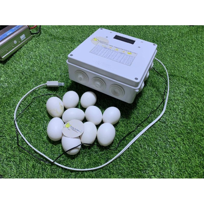 AG Egg Incubator Controller | Shopee Philippines