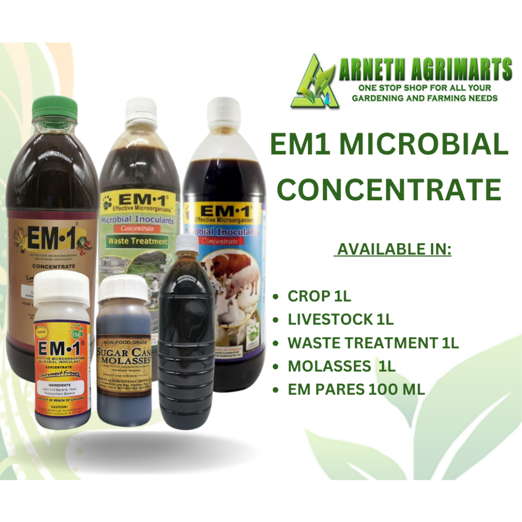 EM1 MICROBIAL CONCENTRATE EM 1 effective microorganism for organic ...