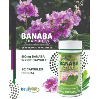 Banaba Herbal Supplement 100 Capsules x 500mg Bottle (Lagerstroemia ...