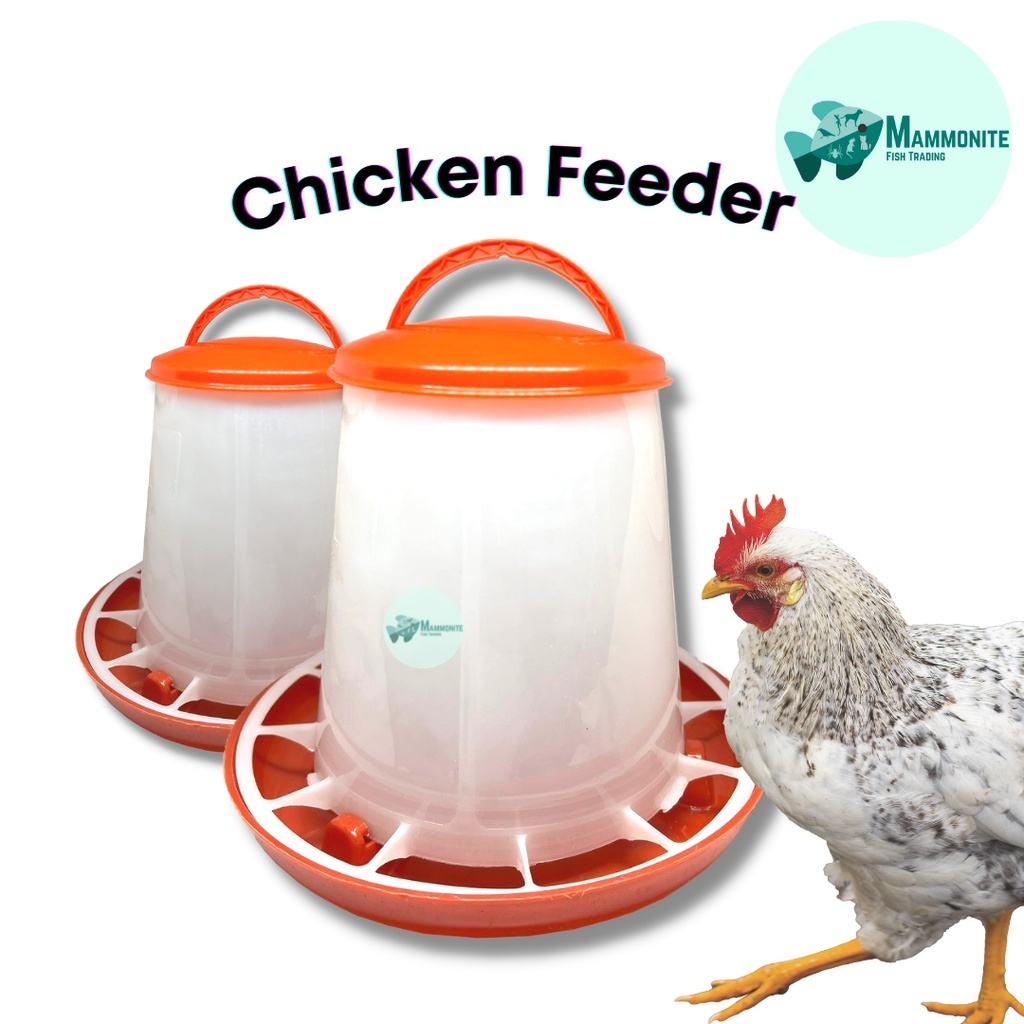 Automatic Chicken Feeder Feeds Poultry Feeder Chicken Feeds or Water ...