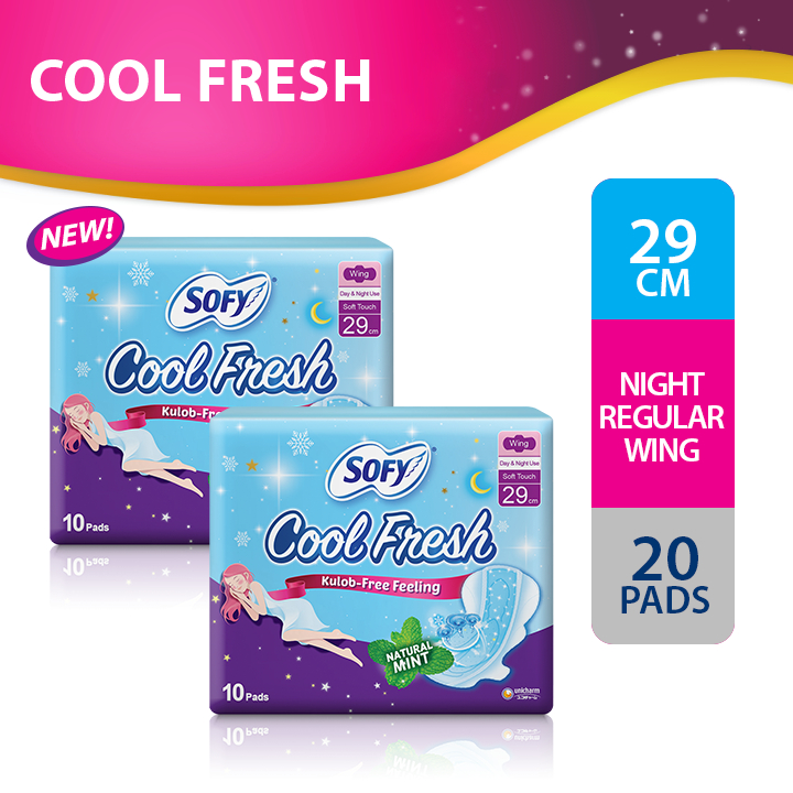 SOFY Cool Fresh Sanitary Napkin with Wing 29cm - 10 pcs x 2 packs (20 ...