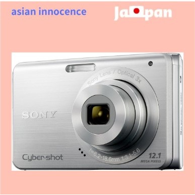 Sony Digital Camera Cybershot W190 (12.1 million pixels / optical x3 ...