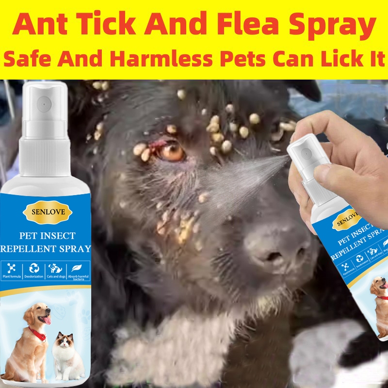 SENLOVE Anti Flea And Tick For Dogs Spray Kuto Ng Aso Remover Garapata ...