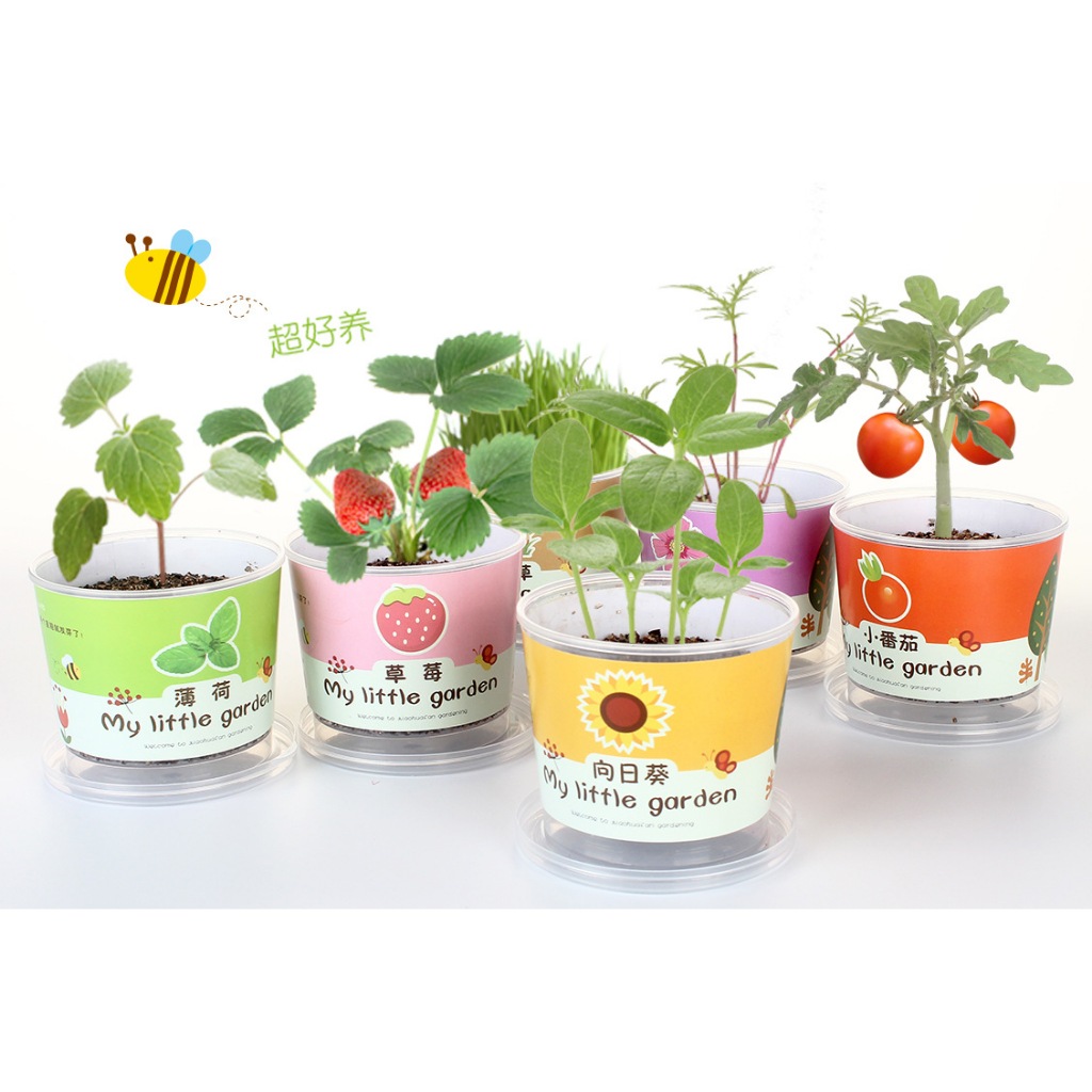 Children's potted art mini plant toys children's cute small potted ...
