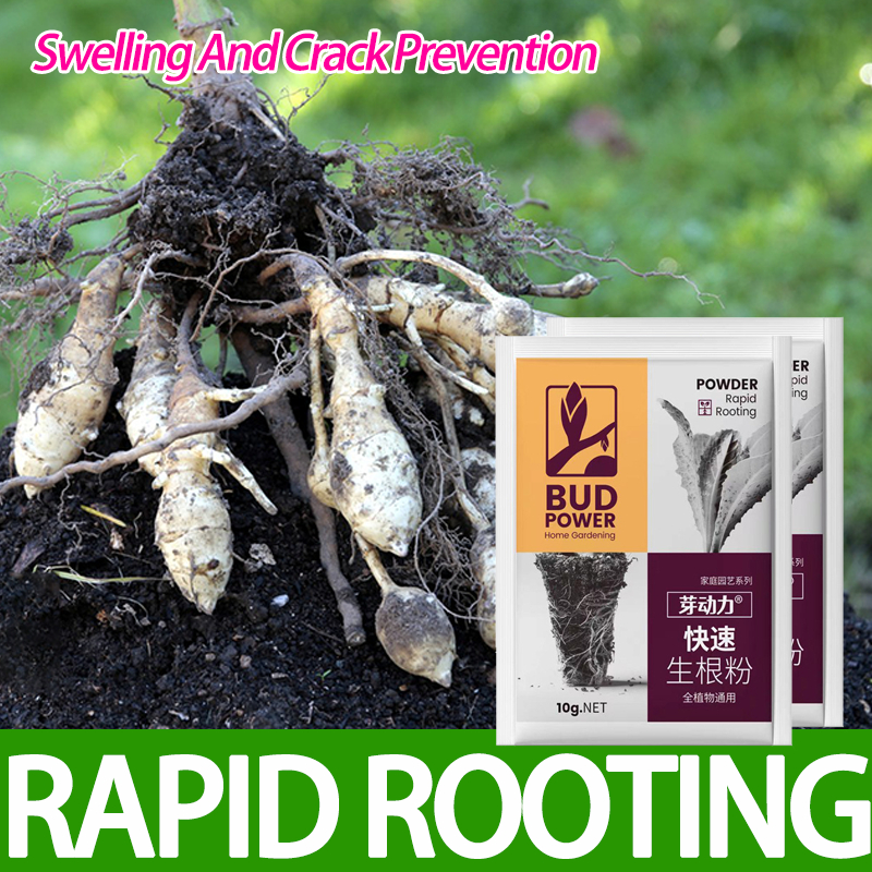 rooting powder rapid growth 10g | Shopee Philippines