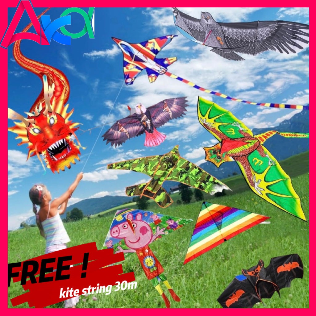 Free string kites for adults big,kite for kids with string,long tail ...