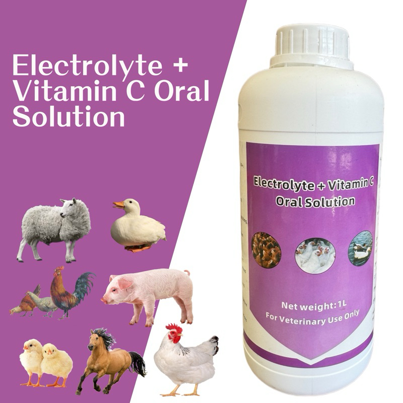 Electrolyte + Vitamin C Oral Solution 1 LITER | Shopee Philippines