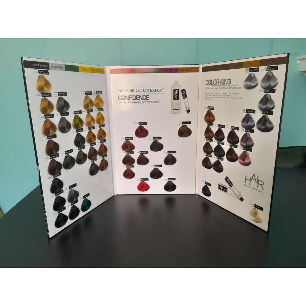 ASHLEY HAIR COLOR CHART COMPLETE COLORS | Shopee Philippines