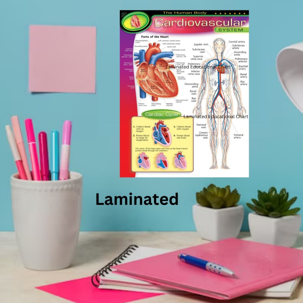 Laminated Nervous System, Digestive System, Respiratory System ...