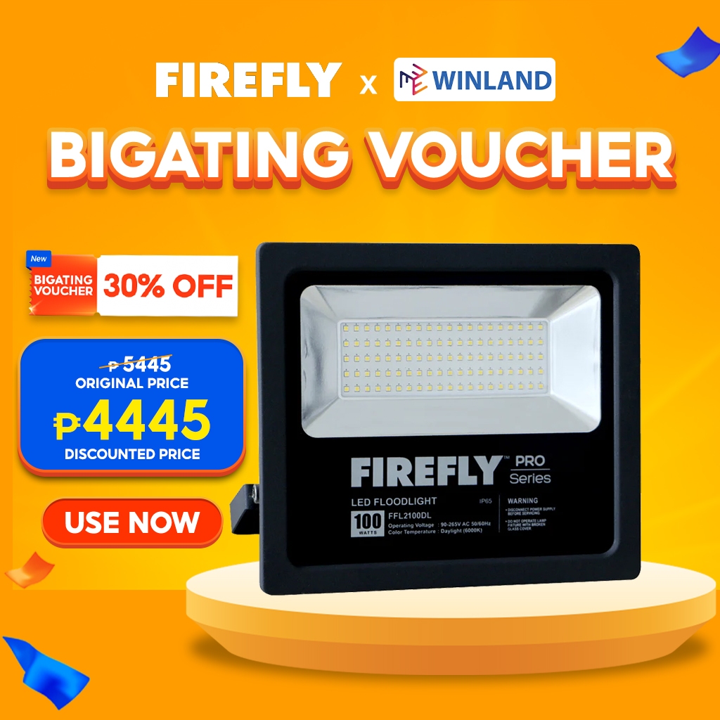 Firefly by Winland Pro Series LED Outdoor Luminaries Floodlight (100W / 90-265V) Daylight ...