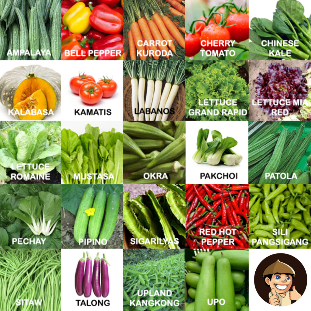 Vegetables Seeds kamatis talong pechay ampalaya sigarilyas upo lettuce ...