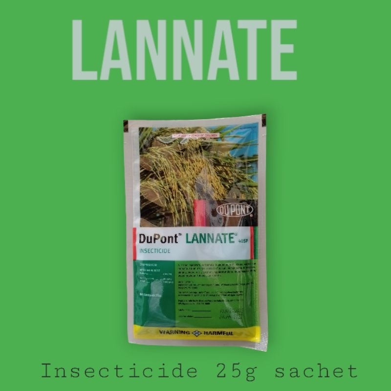 LANNATE 40SP (1 sachet/25grams) INSECTICIDE by Dupont | Shopee Philippines