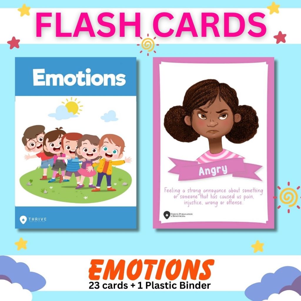 3R Emotions Flash Cards Laminated flashcard learning cards educational ...