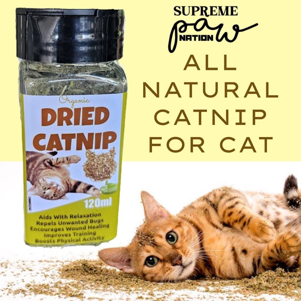120ml (20g) CATNIP NATURAL CATMINT HERBS SPRINKLE POWDER FOR CAT | Shopee Philippines