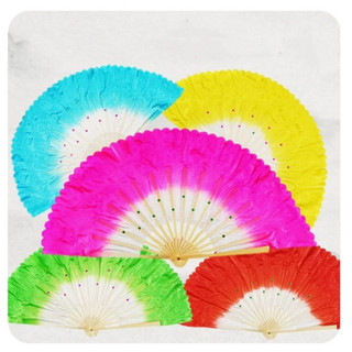 Fan extended fabric (dance props) Chinese Fan Dance Costume/ Handmade ...