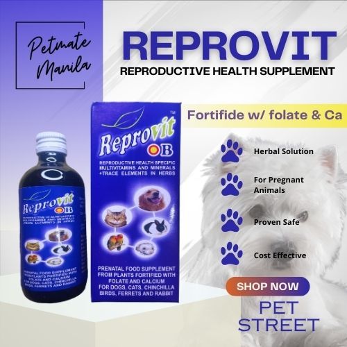 REPROVIT OB Pregnant Pet Vitamins 120ml | Shopee Philippines