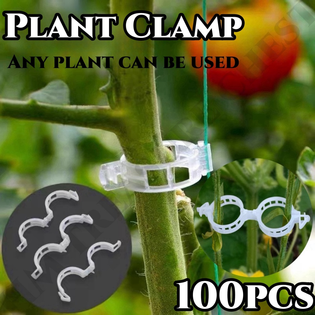 50pcs Plants Vegetable Fastening Clip/Tomato Clips Supports/Reusable ...