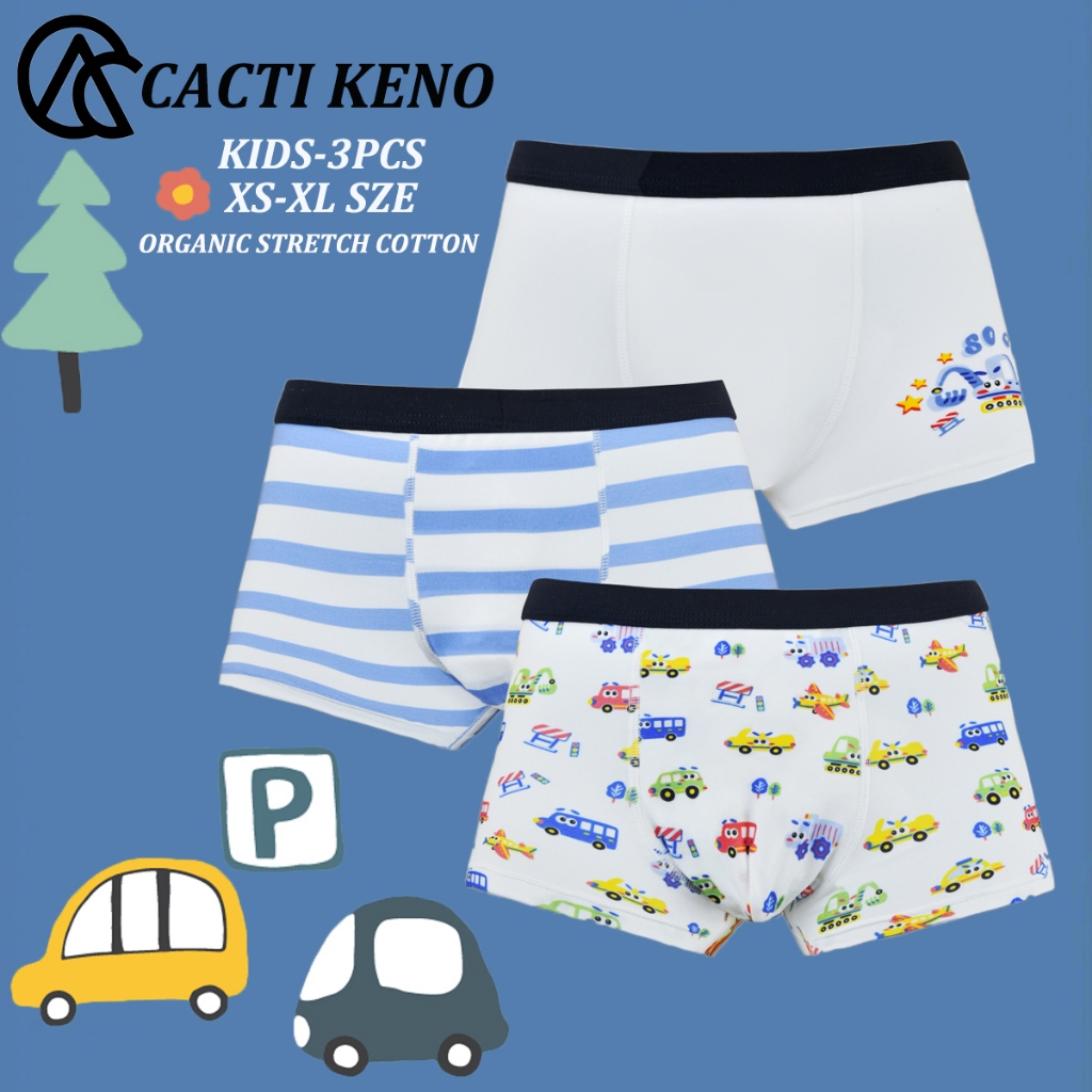 Cacti Keno 3pcs Boys organic cotton boxer car plant print underwear ...